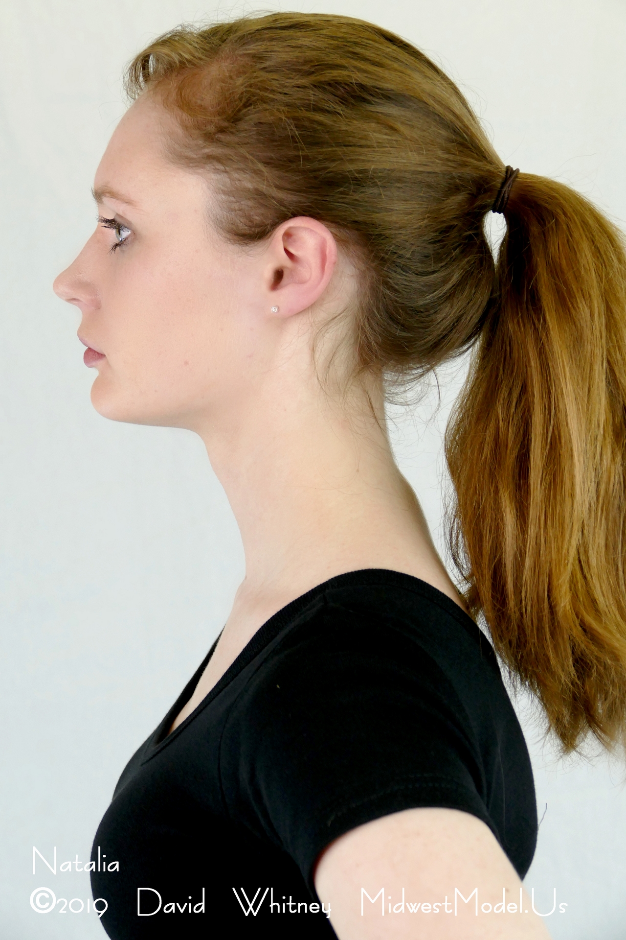 Midwest Model Agency